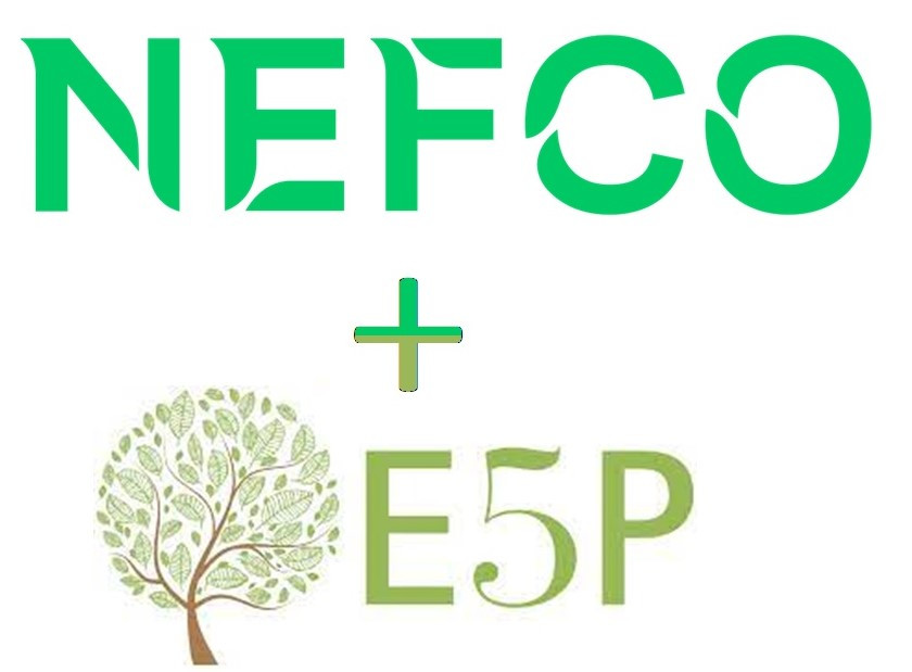 Funding provided by NEFCO and E5P for energy efficiency projects in the ...
